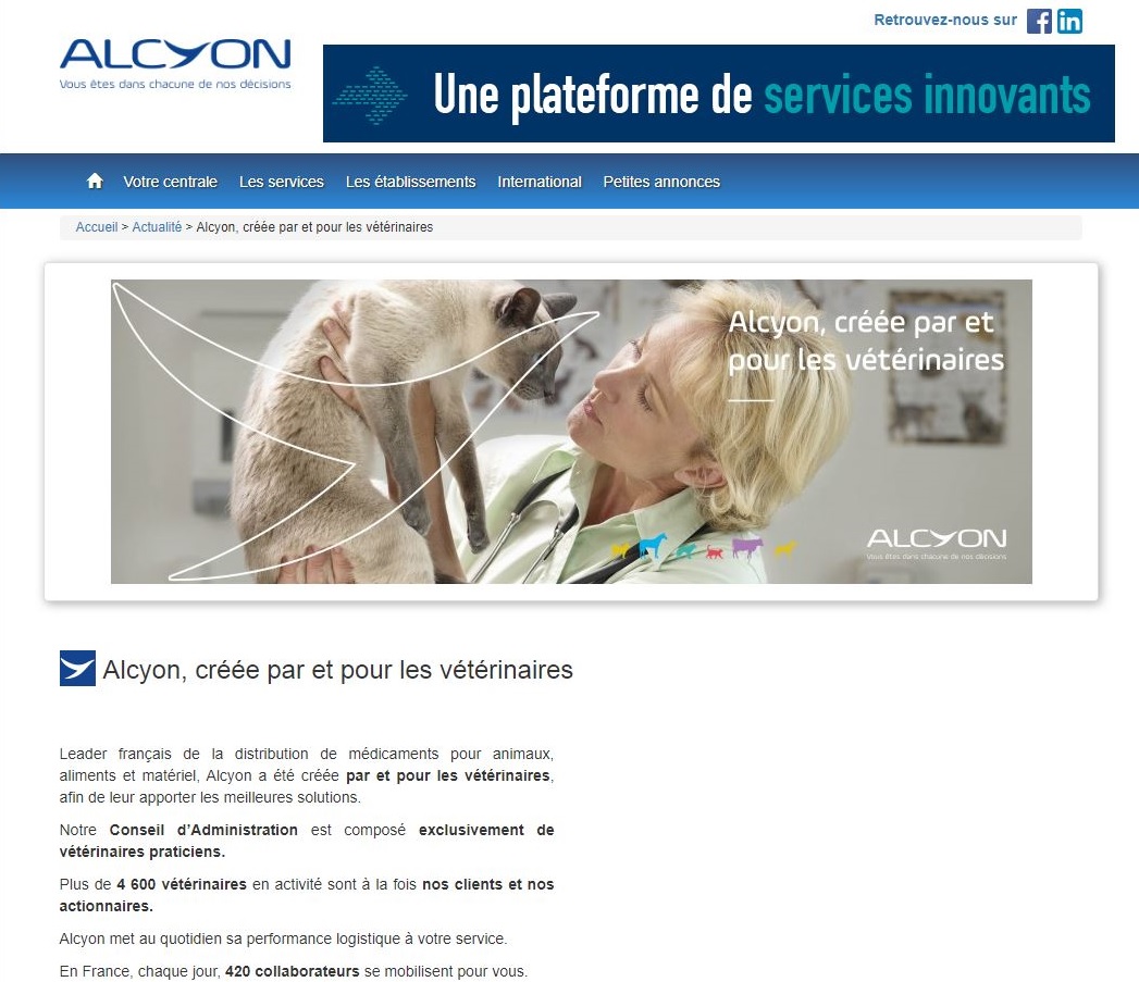 Companies – ZhonFa